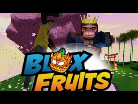 Play blocks fruit for the first time (Roblox) - YouTube