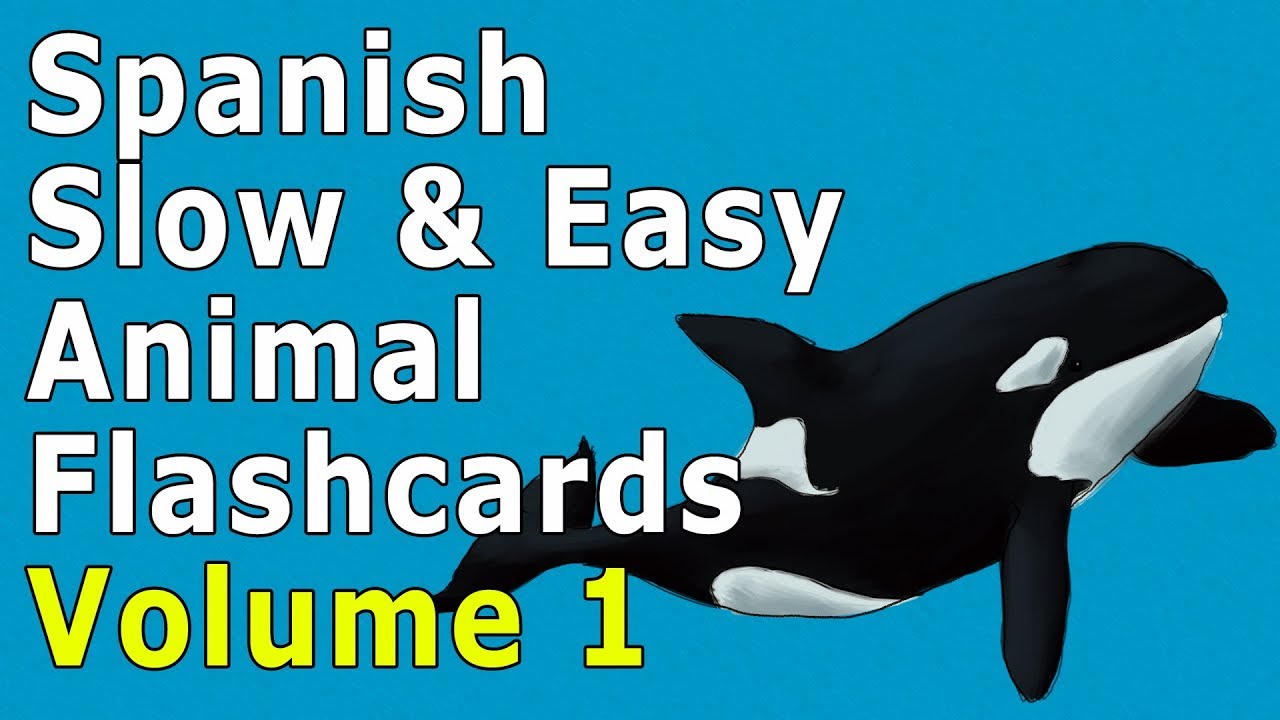 Learn Basic Spanish- Animal Flash Cards Volume 1 - YouTube