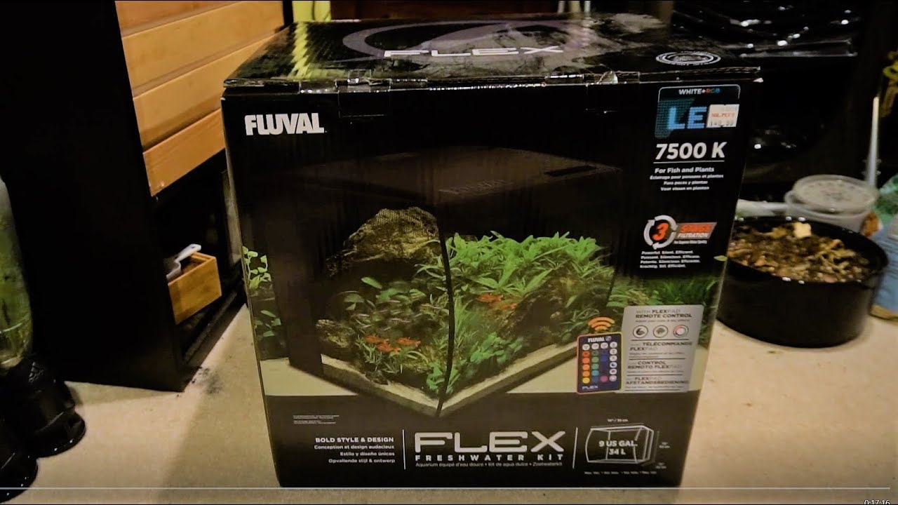 Fluval Flex Review / Fire Belly Newt Setup - YouTube