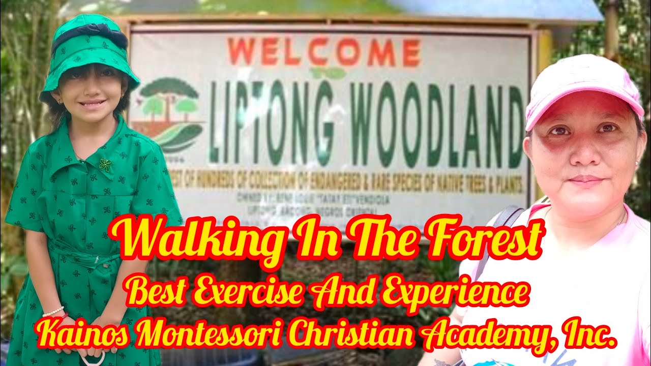 Liptong Woodland Bacong Together Our Kids /We Try To Experience Walking ...