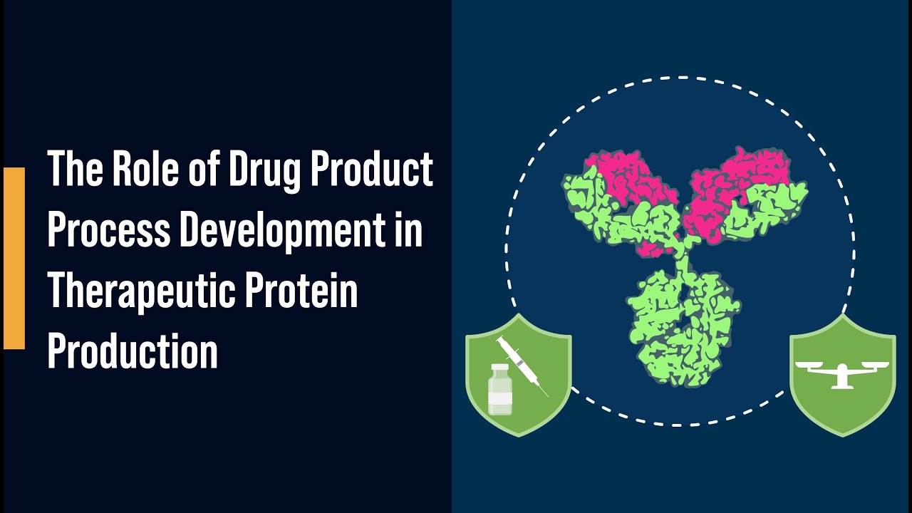 The Role of Drug Product Process Development in Therapeutic Protein ...