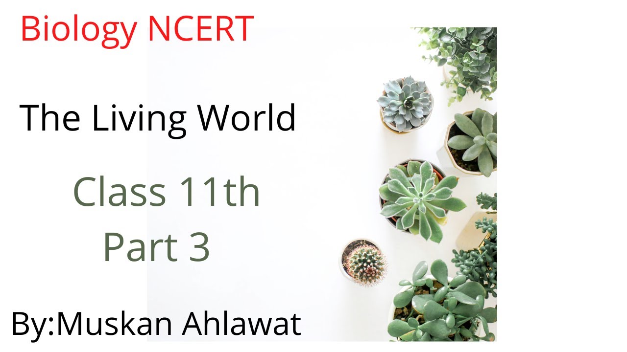 ch:1 The living world class 11th (part-3), The living world ch: with ...