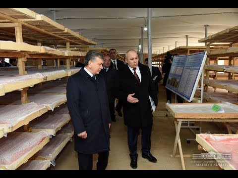Prezidentimiz Shavkat Mirziyoyev 2018-yilning 19-yanvar kuni Surxondaryo viloyatiga tashrif buyurdi