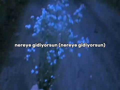 Bahjat - Hometown Smile (Türkçe çeviri)