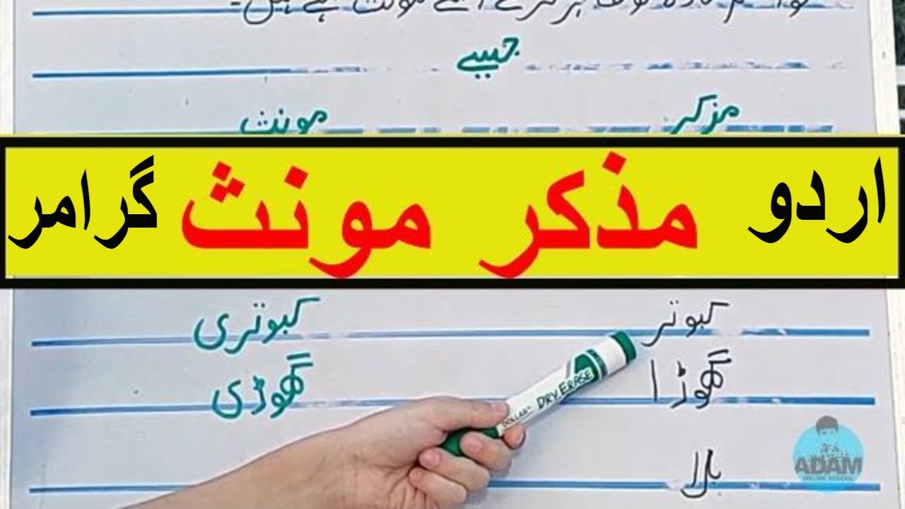 Muzakar Mounas | Urdu Grammar | Masculine Feminine in urdu | مزکر مؤنث ...