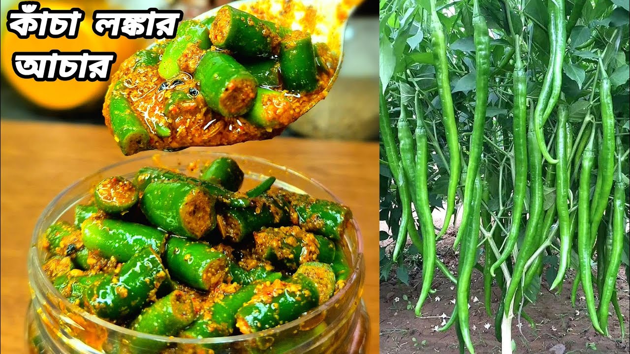 কাঁচা লঙ্কার আচার রোদে দেওয়ার ঝামেলা ছাড়াই বানিয়ে ফেলুন এক বছর ...