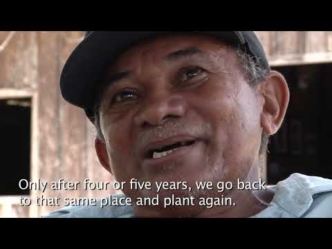 The Yanomami  Conservation Conversation   Maria Alejandra Bigott Picasso 2