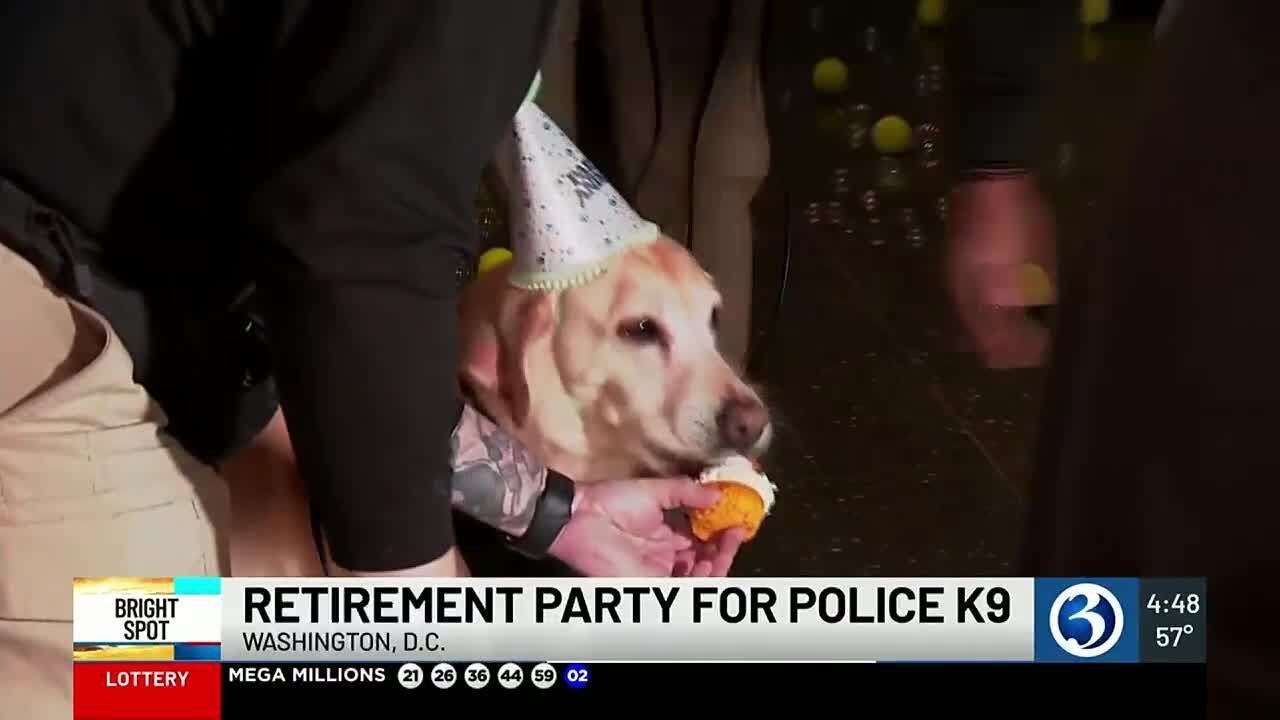 Bright Spot: Retirement party for police K9 - YouTube