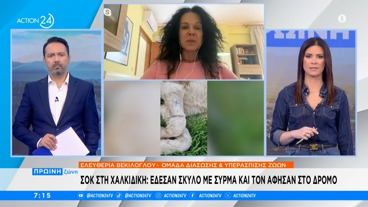 Σοκ στη Χαλκιδική: Έδεσαν σκύλο με σύρμα και τον άφησαν στο δρόμο ...