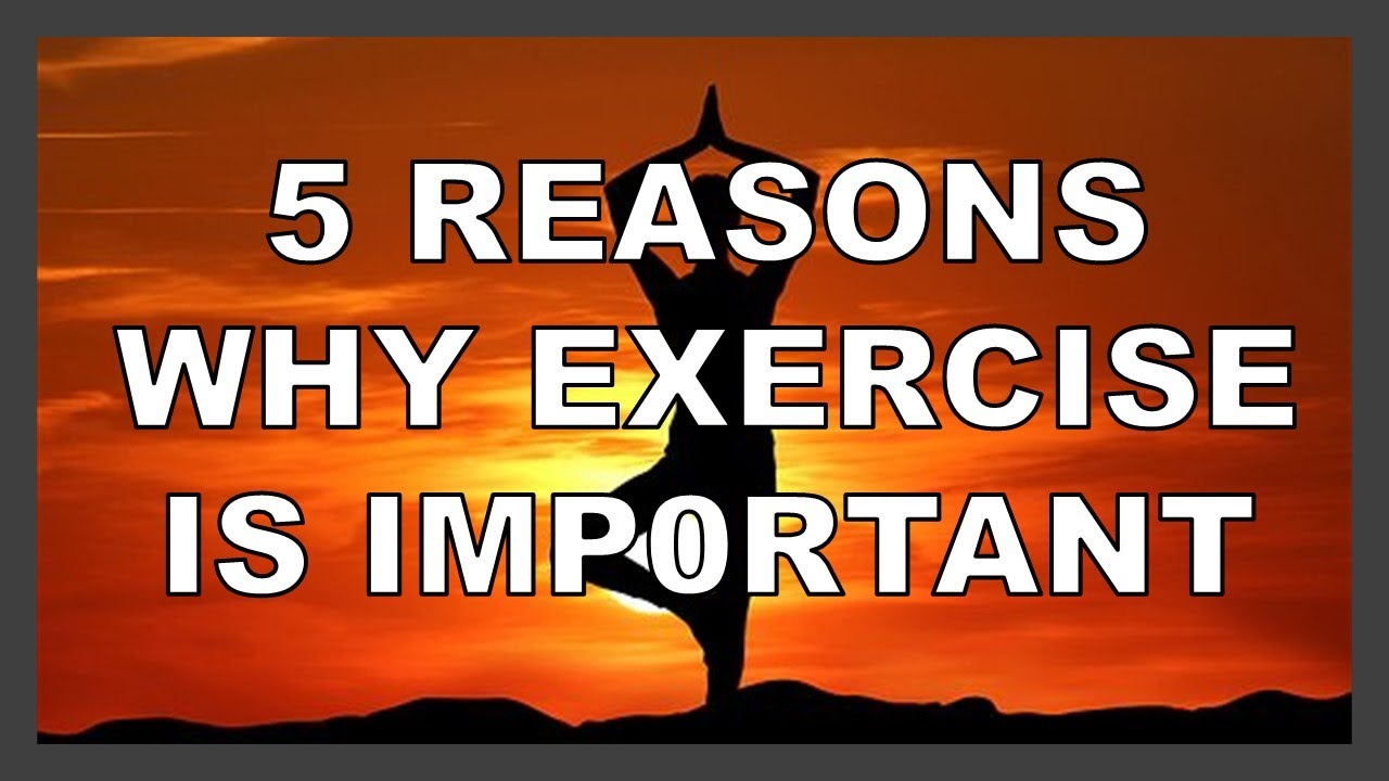 5 Reasons Why Exercise Is Important - YouTube