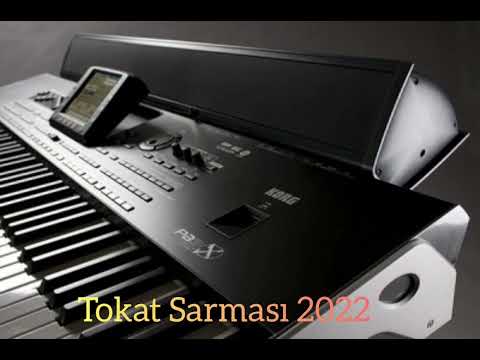 Tokat sarması 2022 #tokatsarması