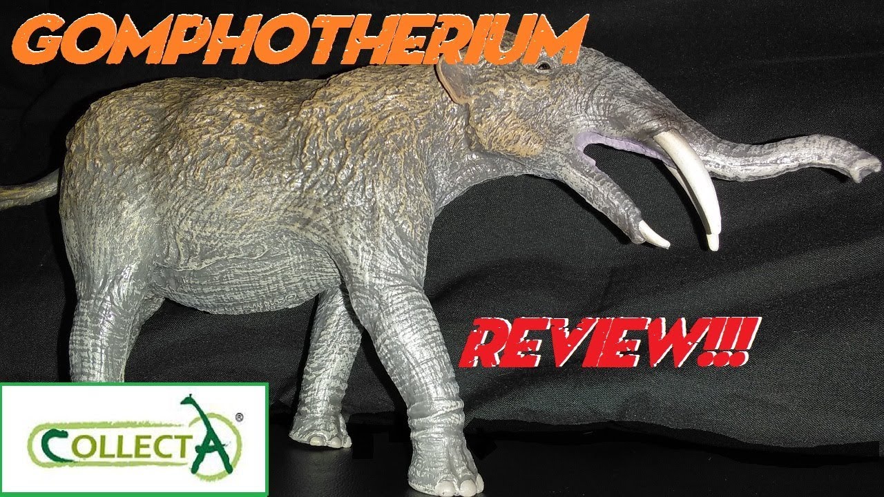 Gomphotherium