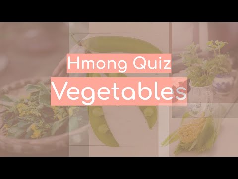 Hmong Quiz Vegetables | Practice Reading and Writing Hmong Language ...