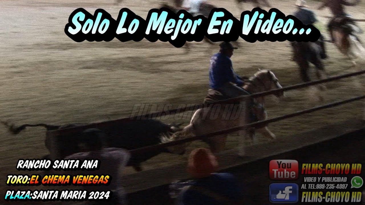 TORO EL CHEMA VENEGAS EN LA PLAZA DE TOROS SANTA MARIA DE CHOCHOLA ...