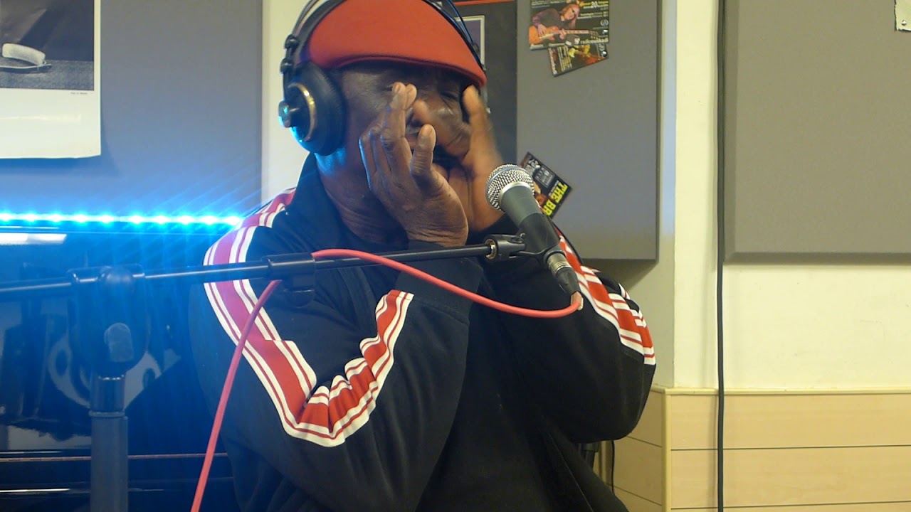 TERRY HARMONICA BEAN - Howlin' Wolf's style on harmonica (EiTB) - YouTube