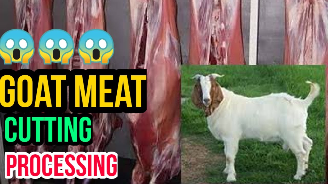 Super Goat cuttings Skills| Expert Old butcher #Mutton_cutting # ...