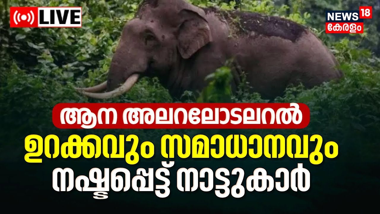 Wild Elephant Attack LIVE Today | Palakkad Dhoni News | Attapadi | PT7 ...