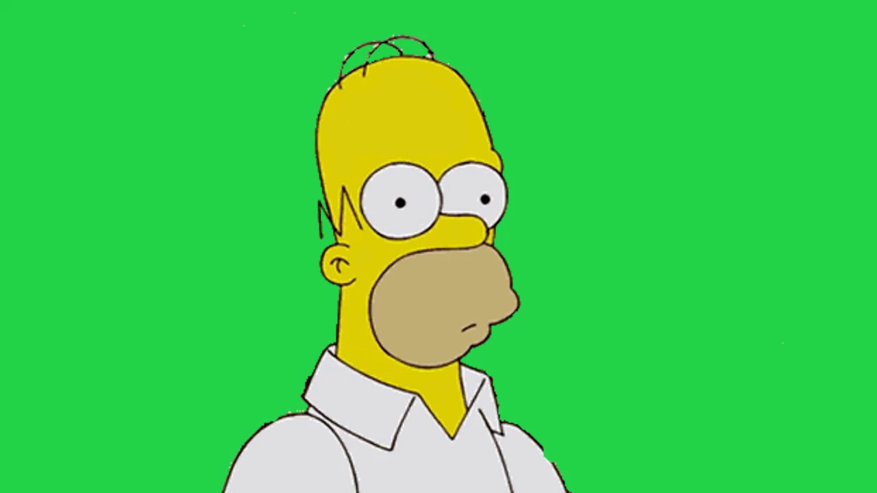 Simpsons - Homer Confuso - Chroma Key Greenscreen - YouTube