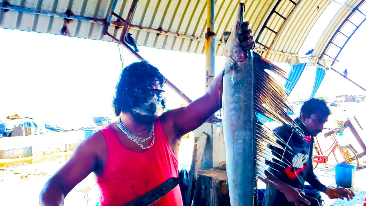 Cutting Huge Indo-Pacific Sailfish | Fish Cutting Experts - YouTube