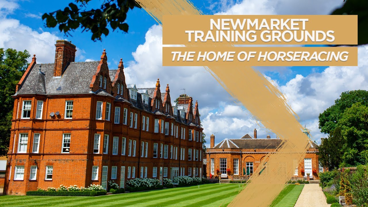 Newmarket Training Grounds: The Home of Horseracing - YouTube