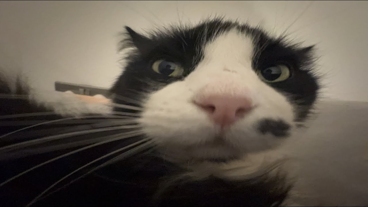 ULTRAKILL: 3-2 Speedrun // Any% in 12.714s - YouTube