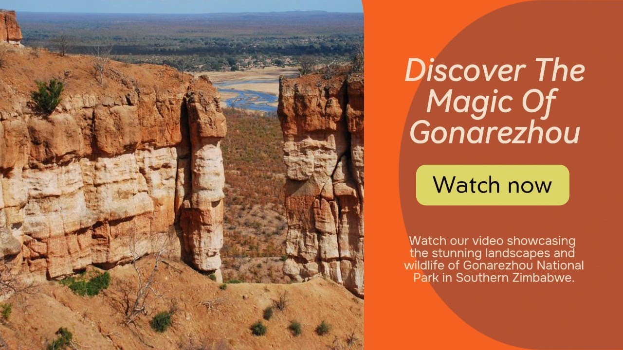 Exploring Gonarezhou National Park: Majestic Landscapes and Wildlife of ...