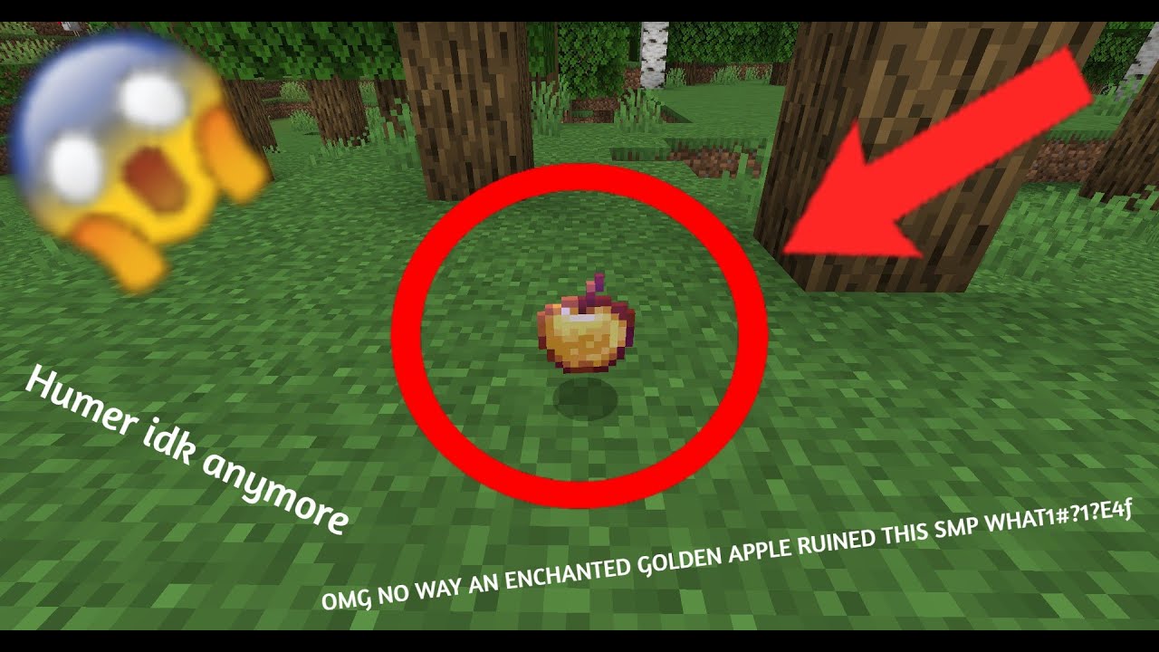 Minecraft SMP VIDEOS be like - YouTube