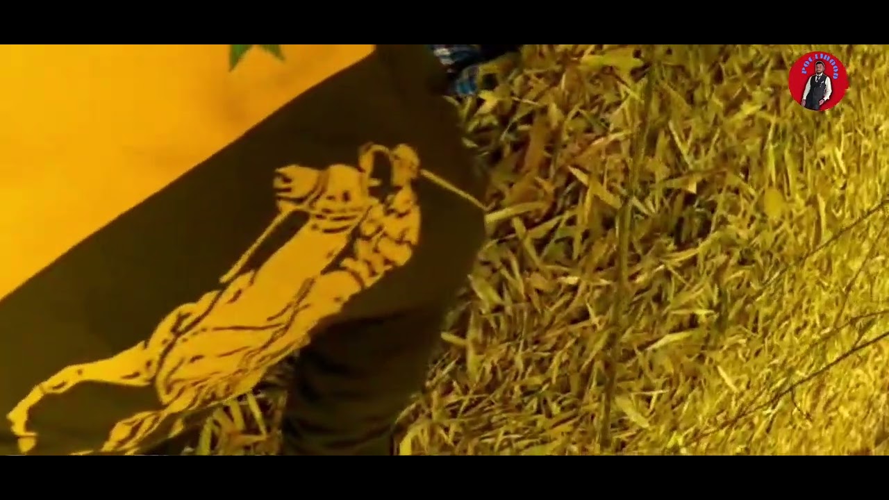 Jungle Me Mangal Youtube