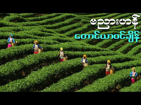 တောင်ယာဝင်ချိန် - ဗညားဟန် ( Ba Nyar Han ) | Lyrics