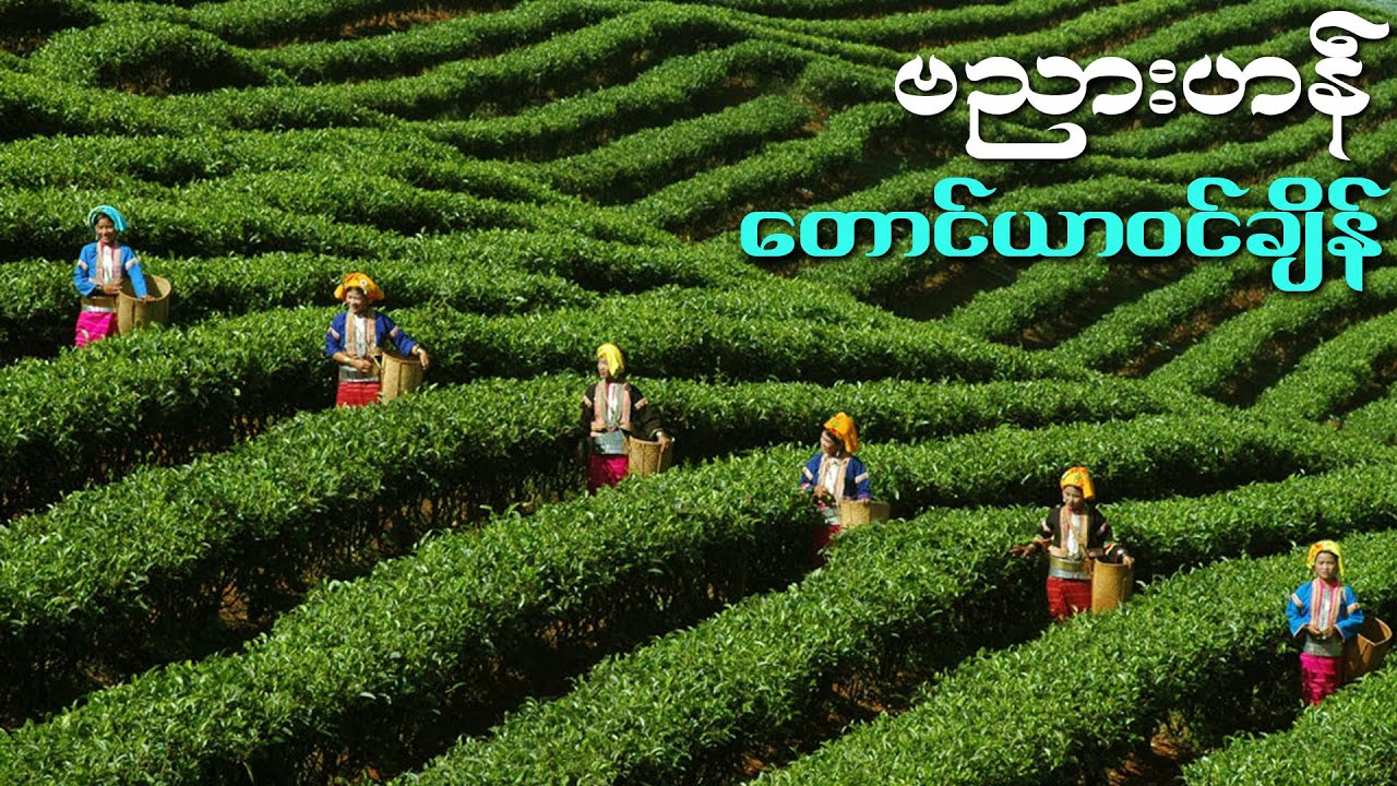 တောင်ယာဝင်ချိန် - ဗညားဟန် ( Ba Nyar Han ) | Lyrics - YouTube