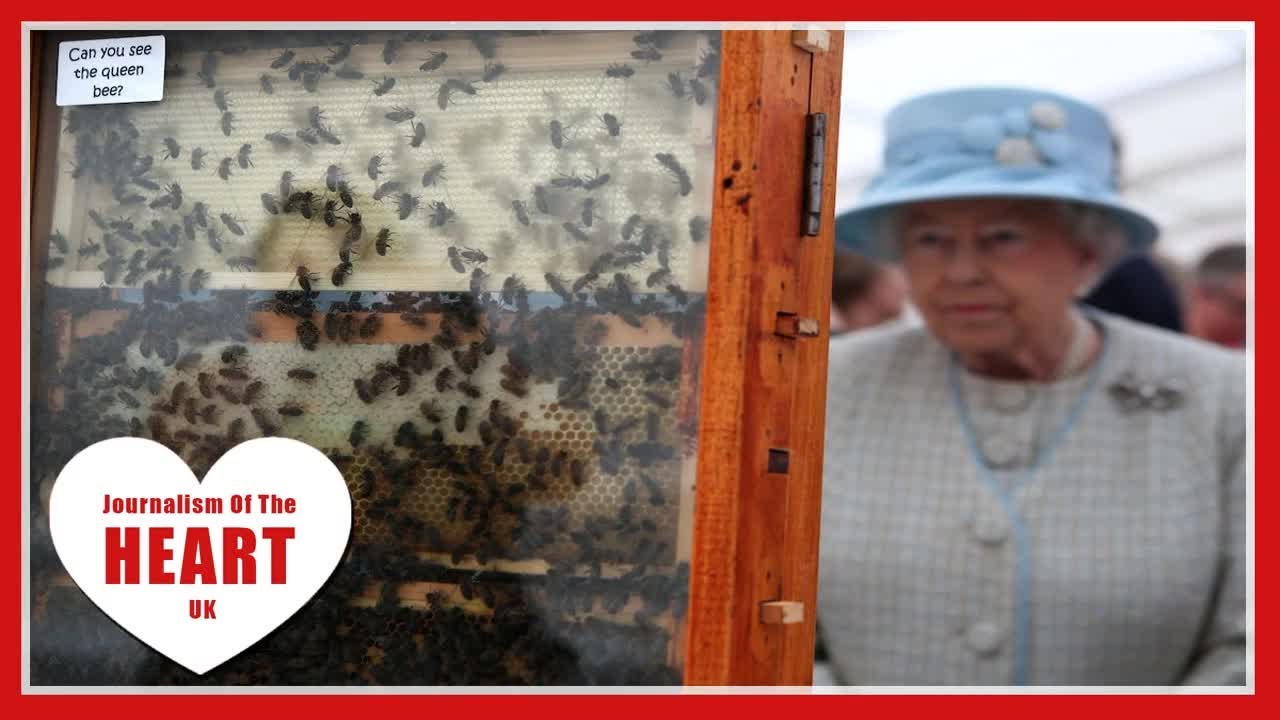 Why Were Queen Elizabeth's Bees Informed of Her Death? - YouTube