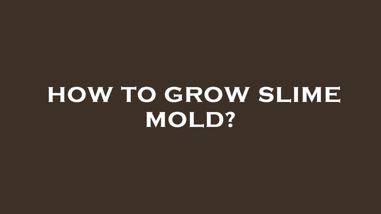 How to grow slime mold? - YouTube