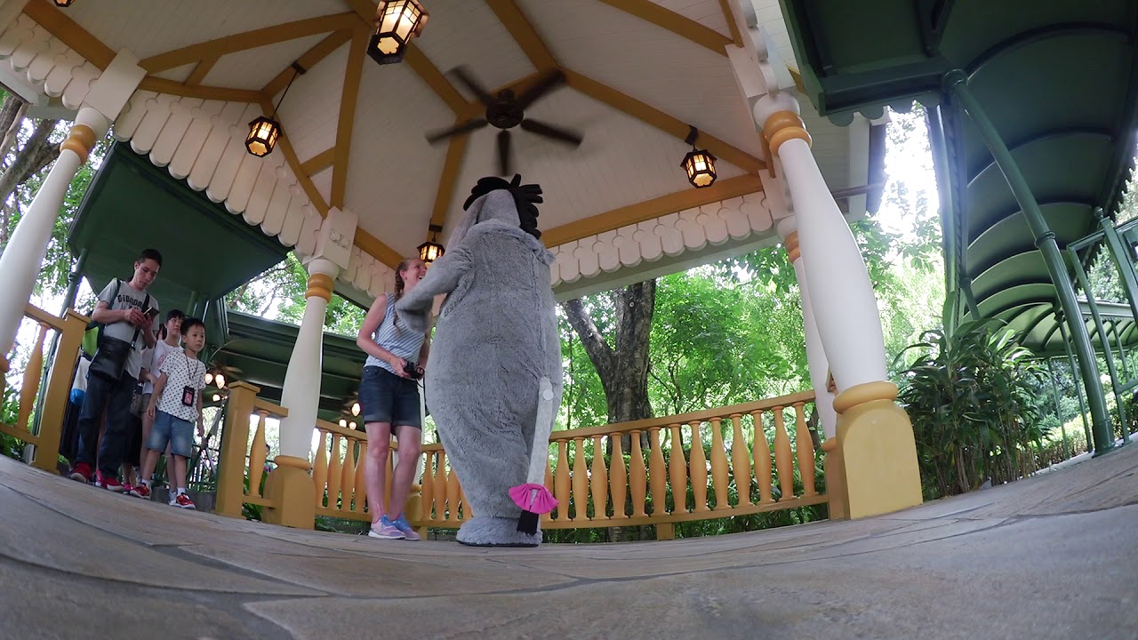 HKDL SUmmer 2018 day 7 Eeyore - YouTube