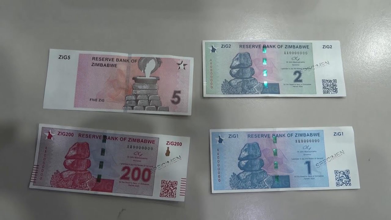Zimbabwe's ZiG, the world's newest currency, is latest attempt to ...