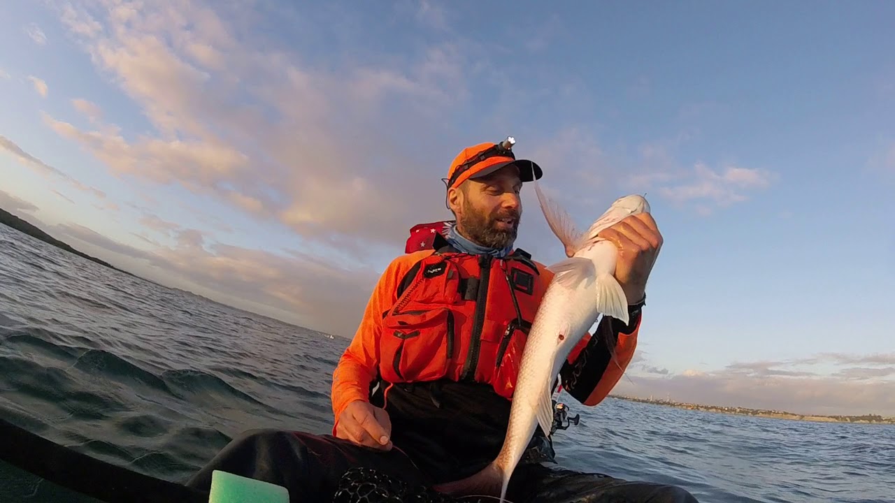 Kayak Fishing Auckland - YouTube