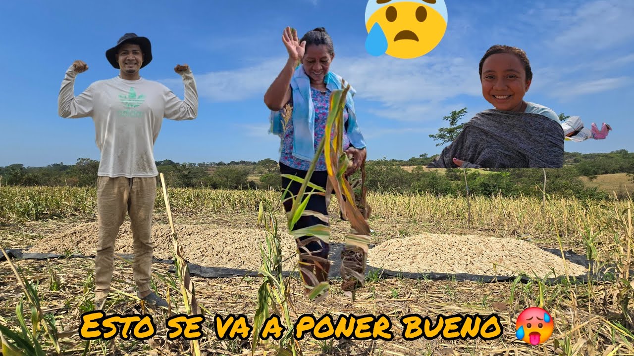 ¡Sigue conociendo un poco de la Familia de Sapito mira donde andan hoy ...