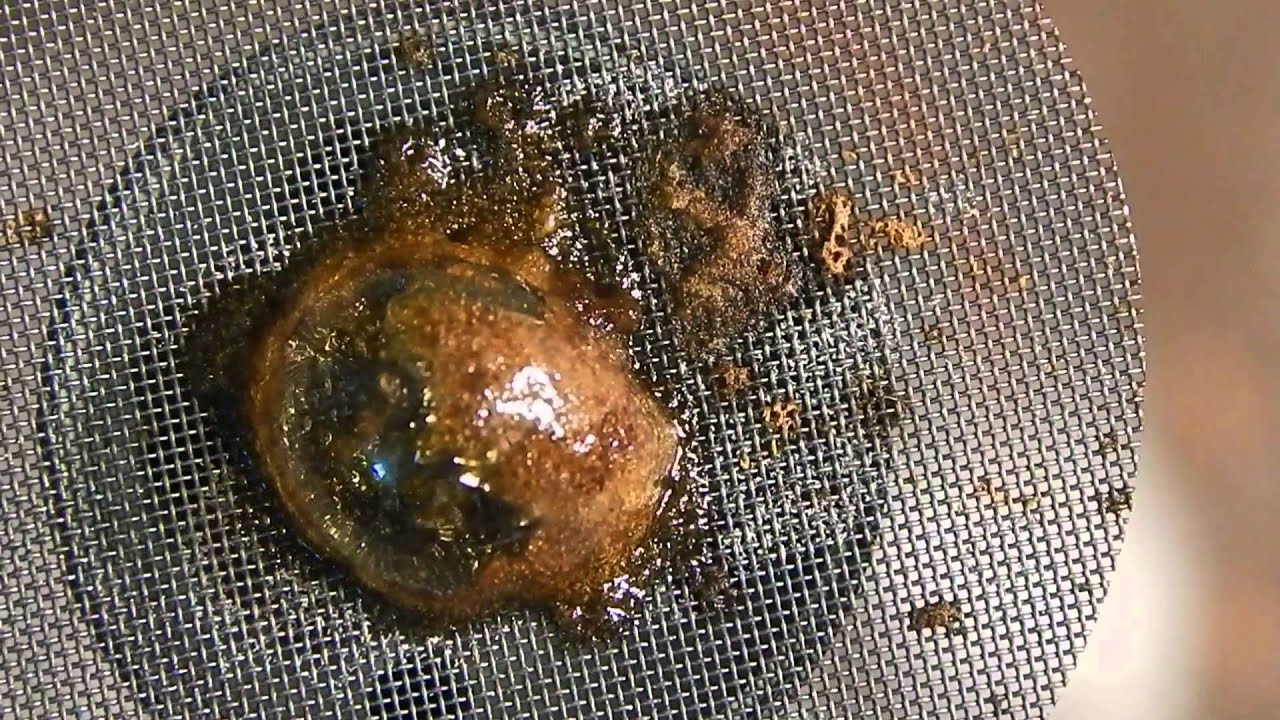 Full HD Purple Alien Melt Shot!! - YouTube