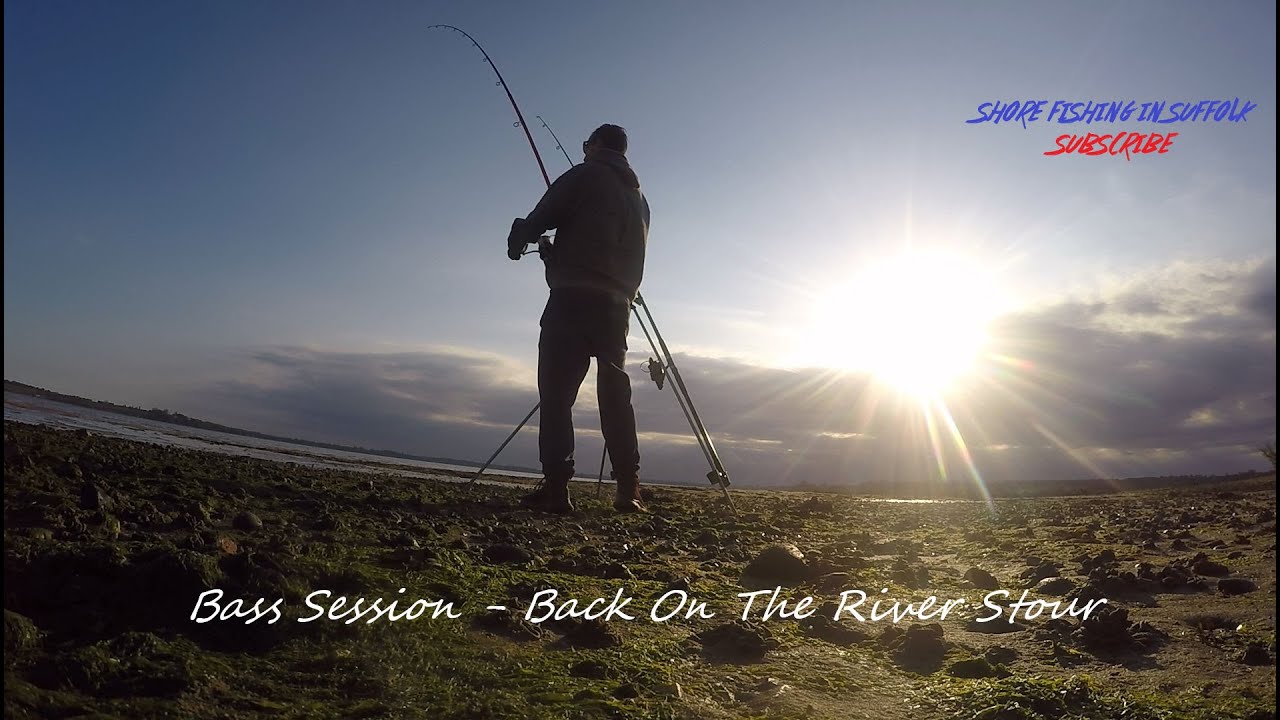 Back On The Stour After Bass - Shore Fishing Session In Suffolk - YouTube