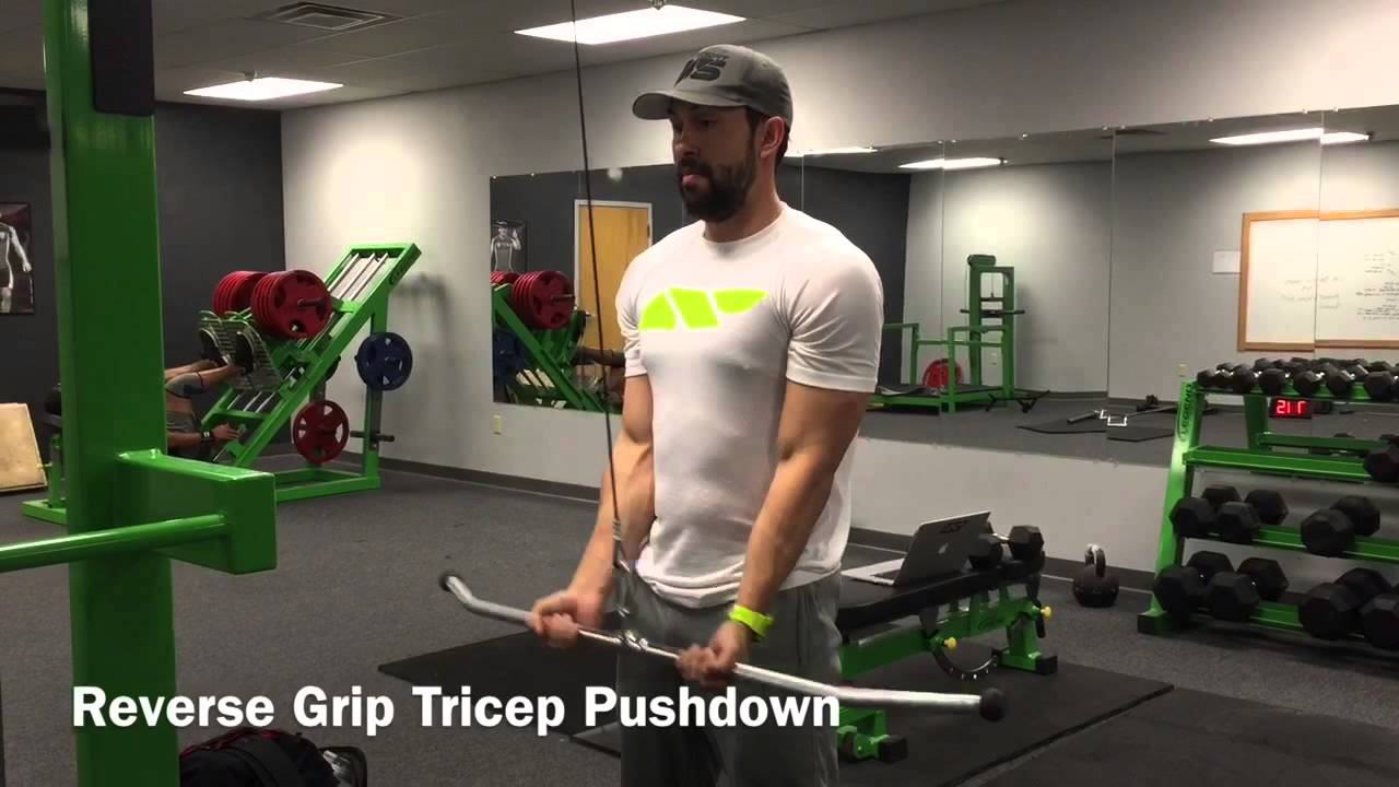 Reverse Grip Tricep Pushdown - 915 Gym Tutorial - YouTube