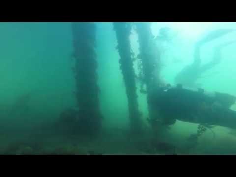 Ardrossan Fishing Jetty - South Australia - YouTube