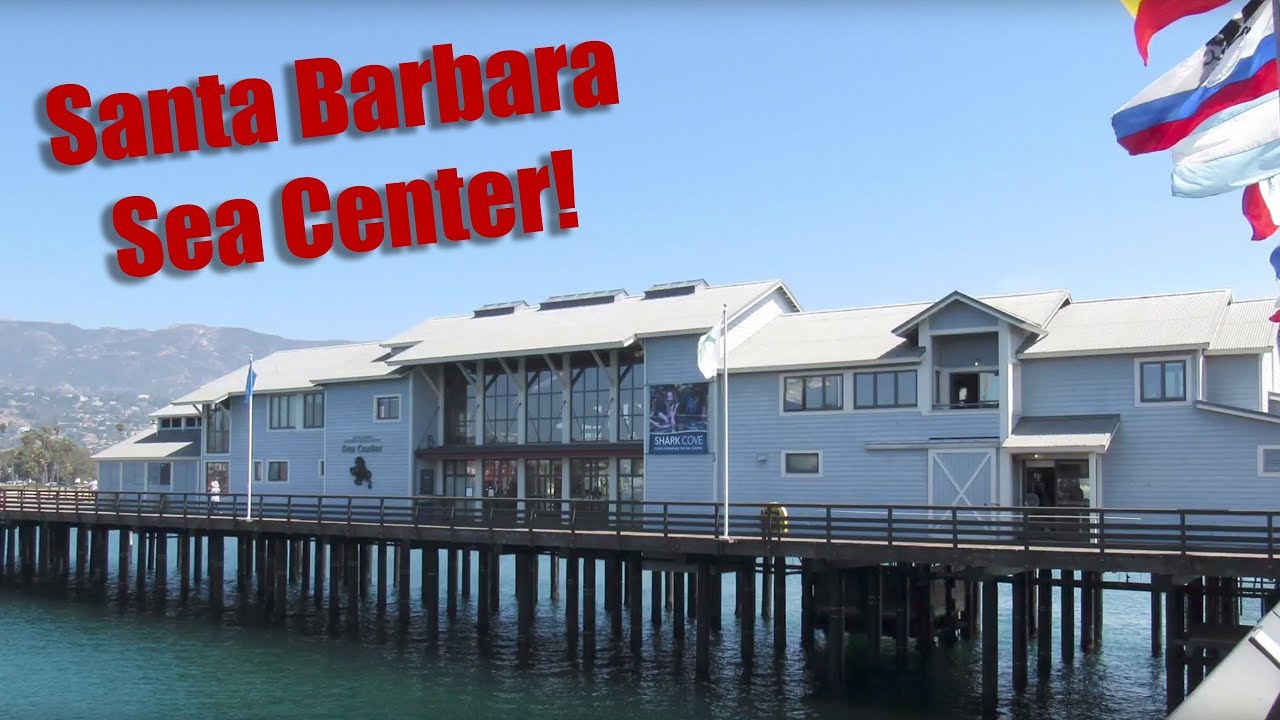 Santa Barbara Pier: Sea Center - YouTube