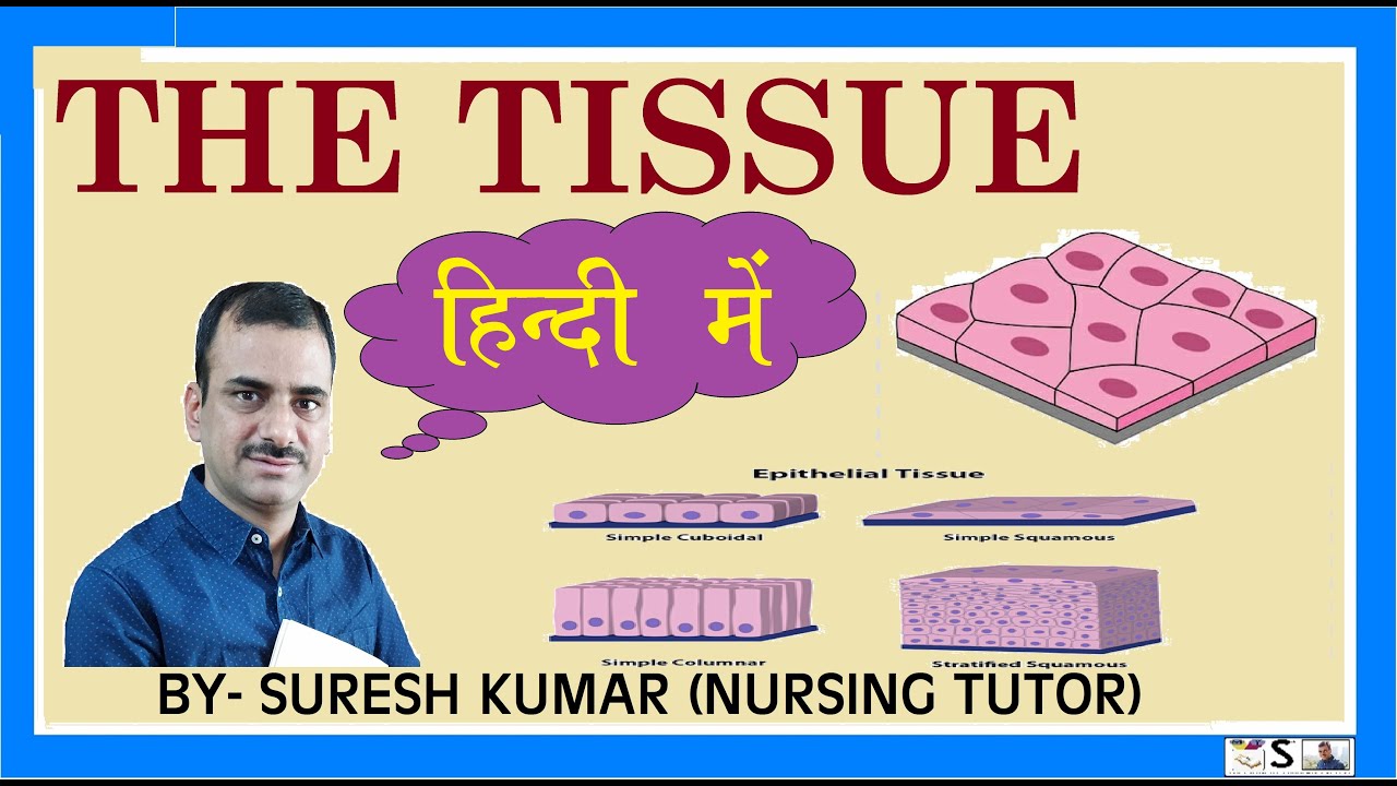 THE TISSUE In HINDI YouTube the-tissue-in-hindi-youtube