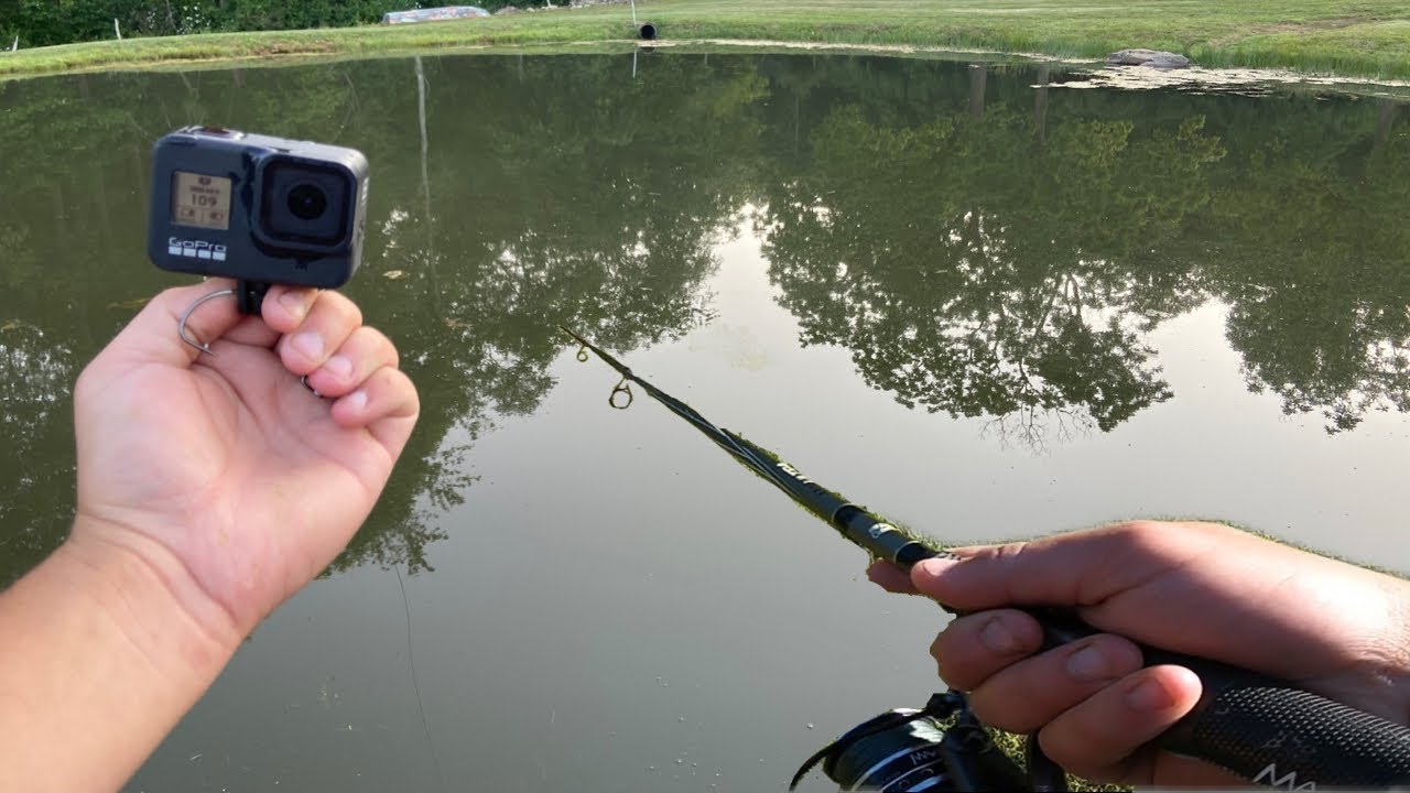 Dropping GoPro in a pond. (Bass attacks GoPro) - YouTube
