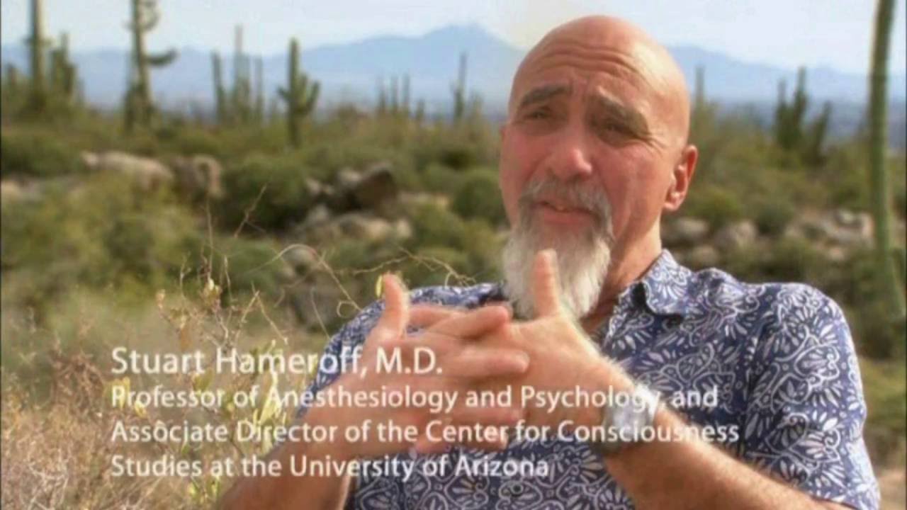 Quem Somos Nós? - trechos do documentário - YouTube