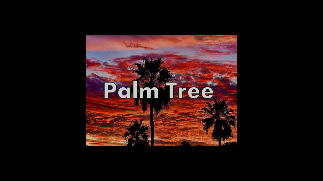 Dancehall Reggae TYPE BEAT INSTRUMENTAL- Palm Tree Prod Sin Dell BSP ...