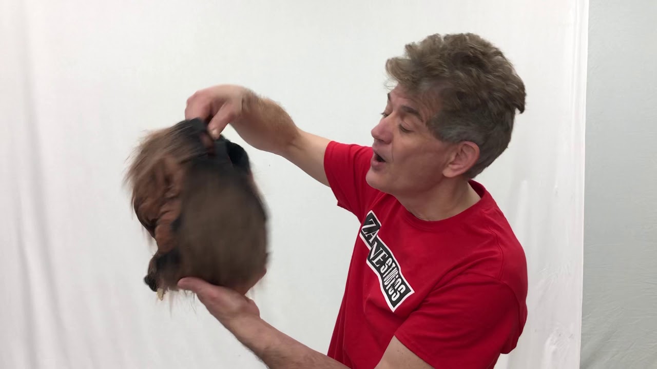 Gnarly werewolf Mask - YouTube