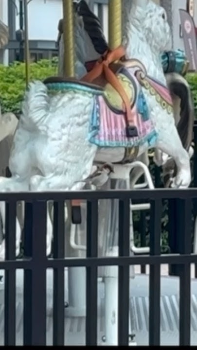 ICON Park Carousel Bird interested in the animals #carousel #horse #merrygoround #ride #birds # ...
