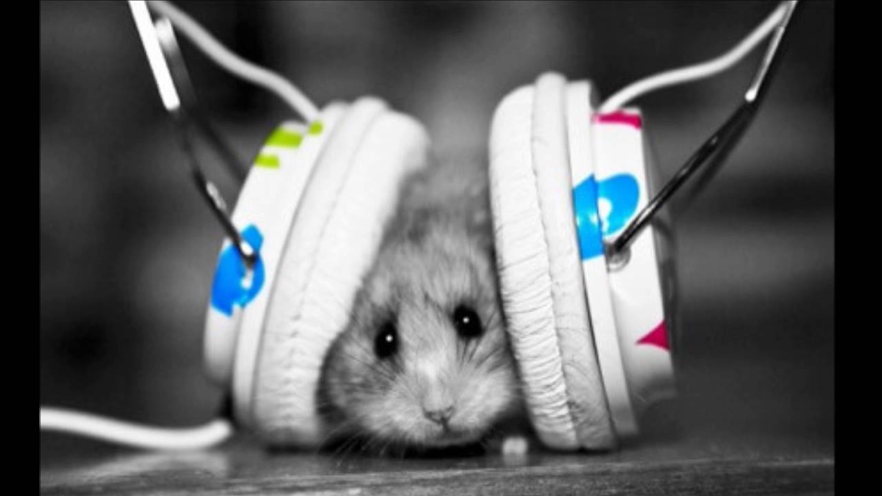 Music To Listen To While Doing Homework Or Etc YouTube music-to-listen-to-while-doing-homework-or-etc-youtube