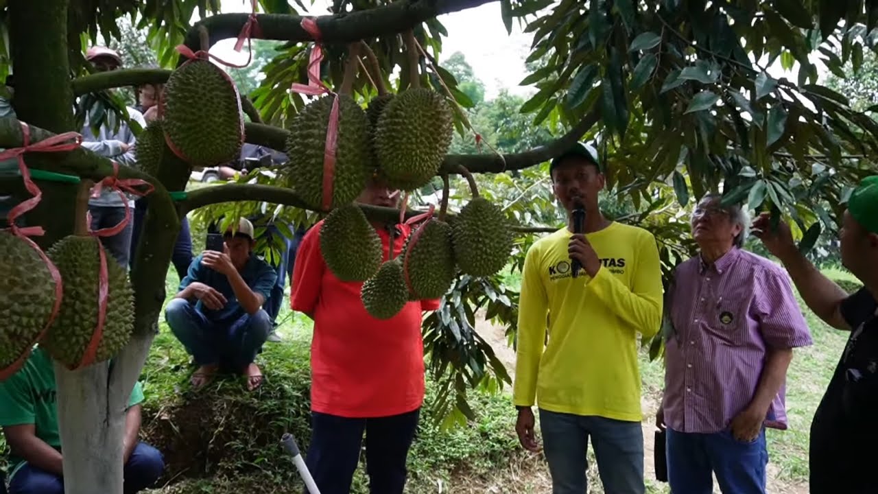 Grand Opening Anugraha Vana Farm Subang Part 2 - YouTube