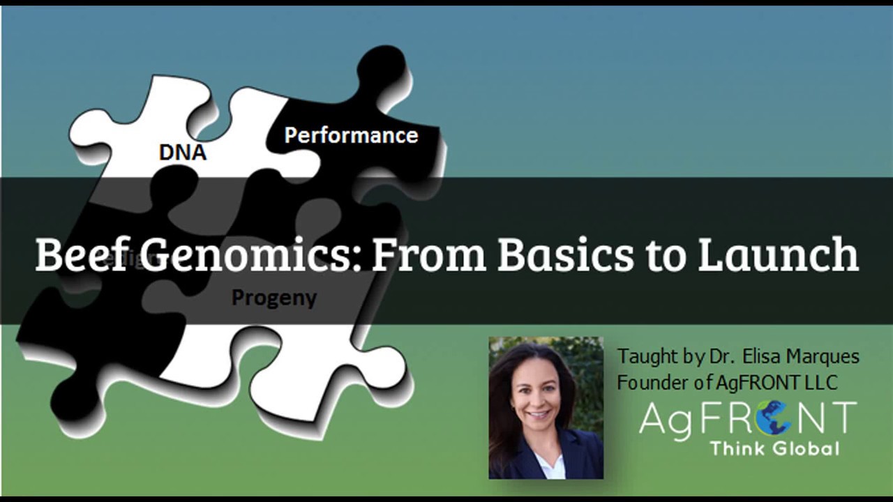 Online Course on Genomics in Beef Cattle - YouTube